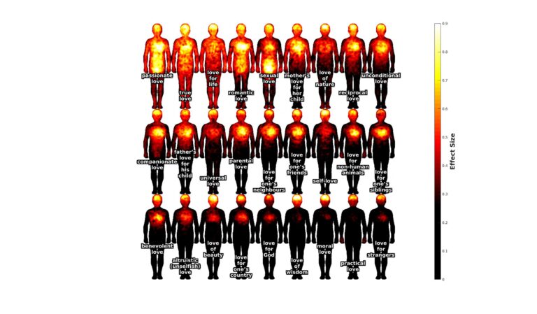 Where 27 Types of Love Are Felt in The Body | LeShaw